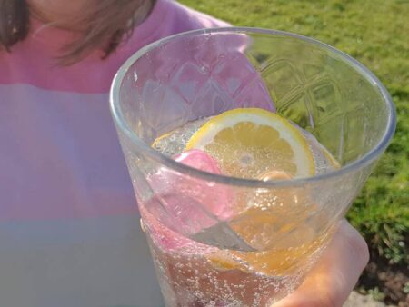 Creating sparkling water with the BIBO Fizz - review